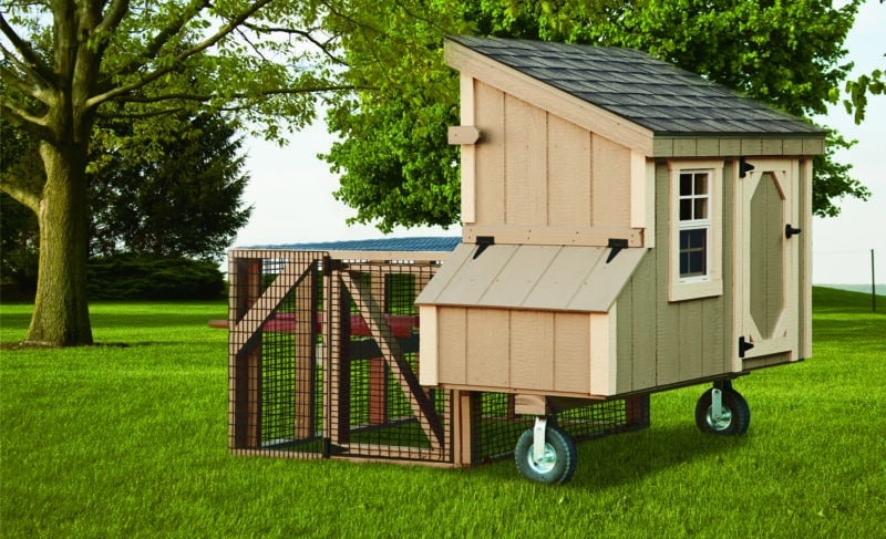 Mobile Duck Coop | A Safe And Spacious Home For Your Flock