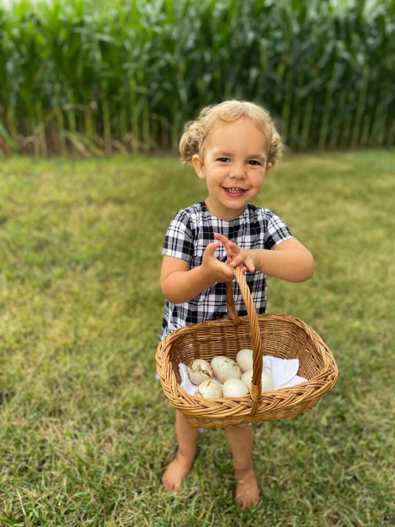 Mobile Duck Coop | A Safe And Spacious Home For Your Flock