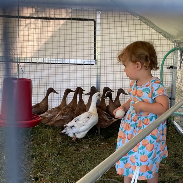 Awesome Mobile Coops and Chicken Tractors | Happy Farmer