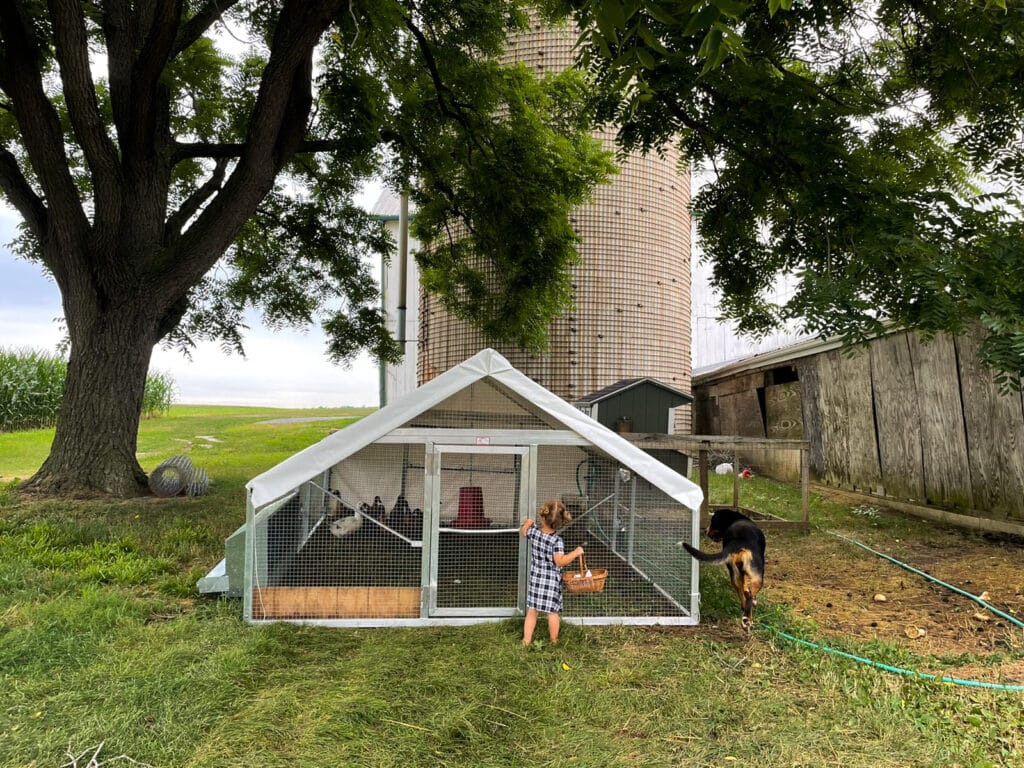 Chicken Coops In Florida | Mobile Coops For Your Flock