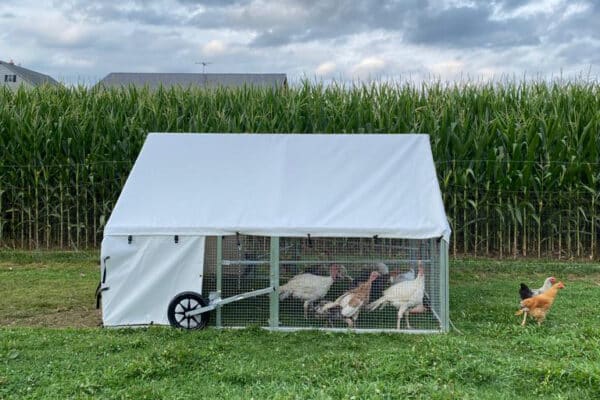 3 Mobile Coops for Chickens, Ducks or Turkeys | Easy to Move