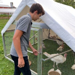 Buy this 8x10 Mobile Coop for Chickens, Ducks or Turkeys