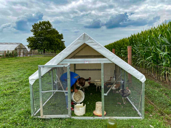 3 Mobile Coops for Chickens, Ducks or Turkeys | Easy to Move