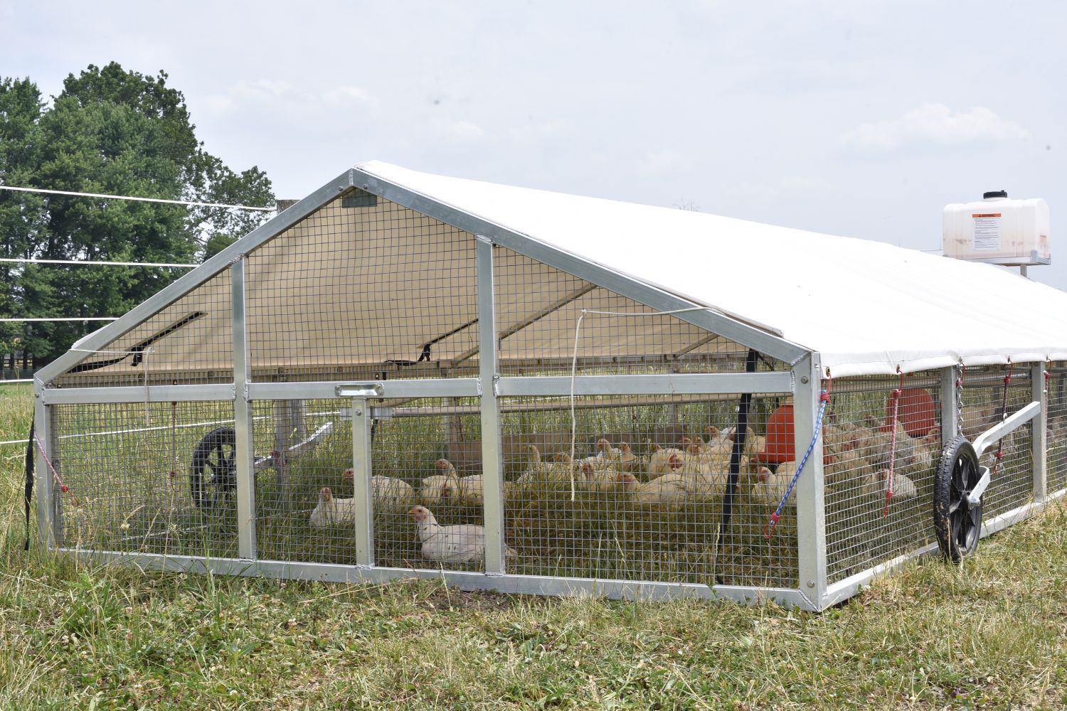 9x24 Broiler Coops For Growing Your Flock | Happy Farmer